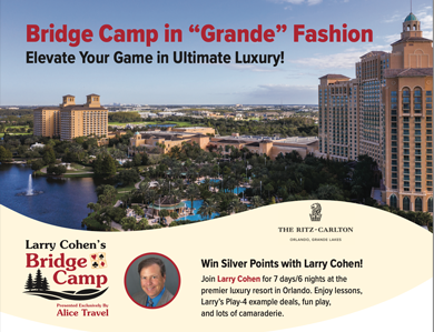 Bridge Cruises, Bridge Seminars, Bridge Teacher Bridge with Larry Cohen